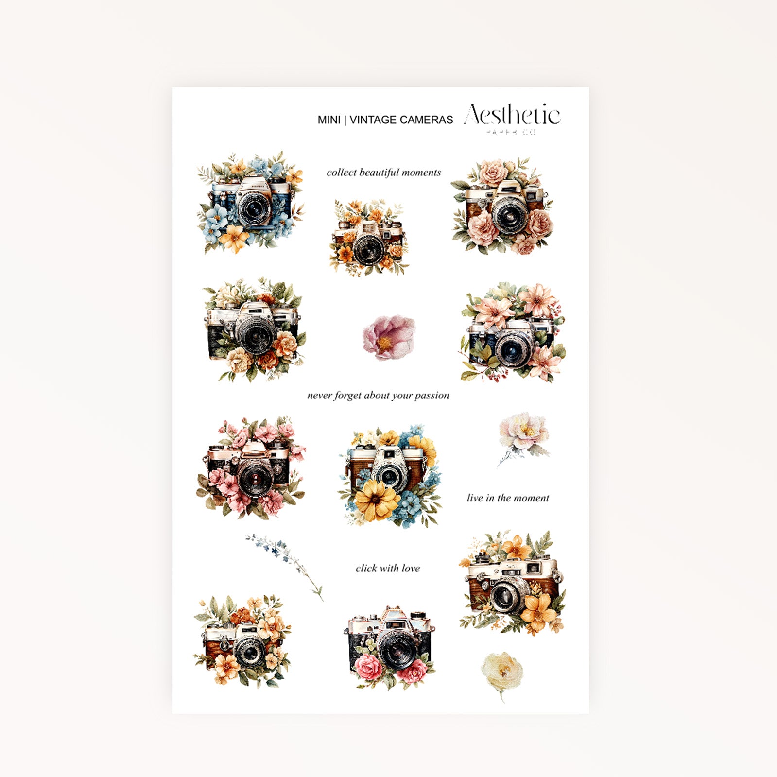 MINI | Vintage Cameras STICKERS